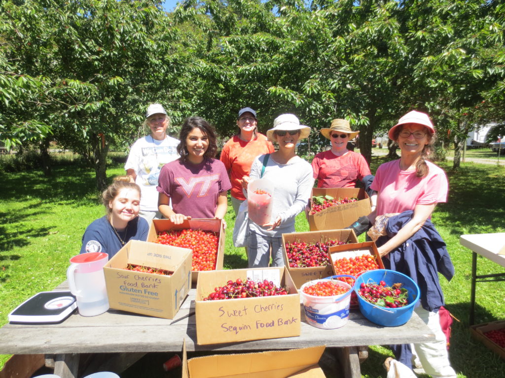 Harvest Against Hunger | Why do you Glean? - Harvest Against Hunger