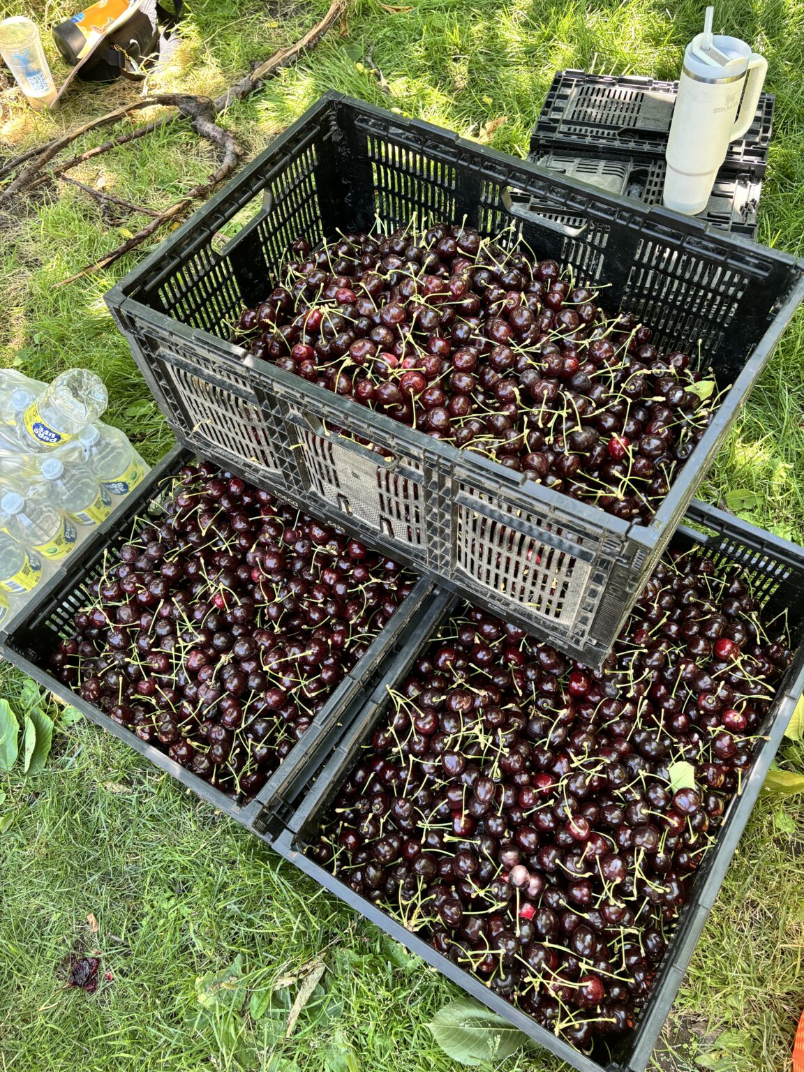 Harvest Against Hunger | Harvest Blog - Harvest Against Hunger